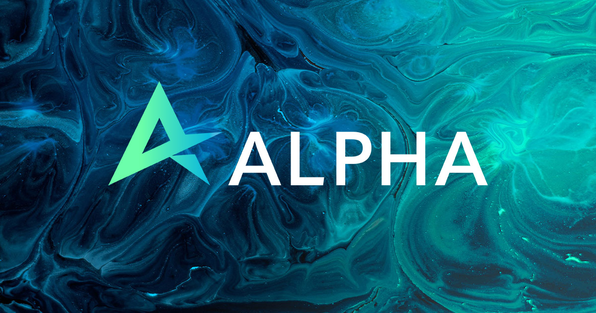 Annapolis Network Consulting Services - Alpha